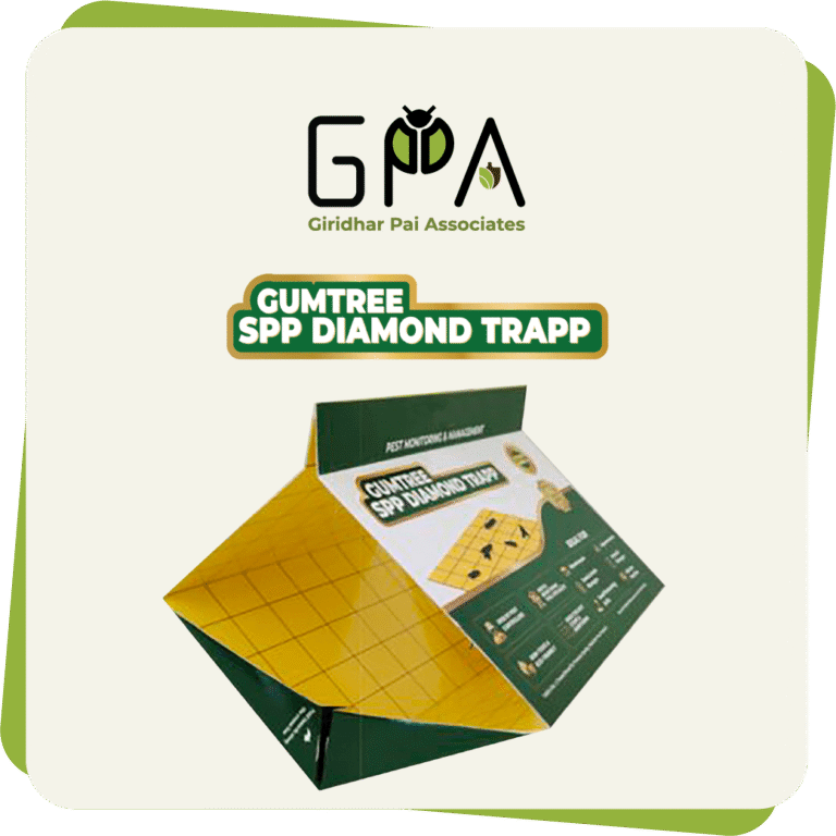 India’s only stored product moth pest monitoring trap